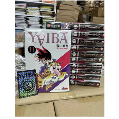 YAIBA新装版11城市风云儿