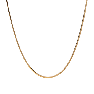 【许我耀眼许妍同款】JOYSTONE意大利金色方形蛇骨链百搭锁骨链女