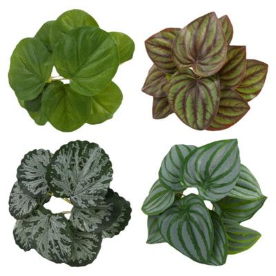 仿真绿植盆栽爬宠箱造景装饰叶子