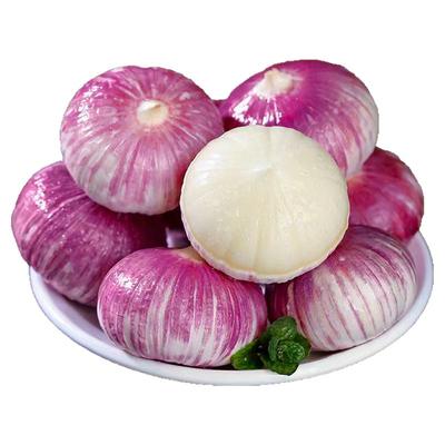 2025农家紫皮独头蒜红皮干蒜独蒜新大蒜蔬菜非老品种种子蒜头