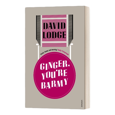 英文原版小说 Ginger You're Barmy 生姜头 你疯了 戴维·洛奇 英文版 进口英语原版书籍