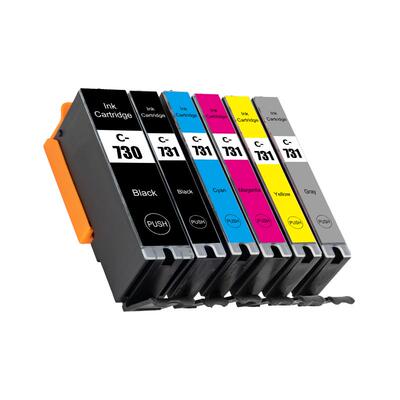 NBNPGI-730墨盒TS8870打印机