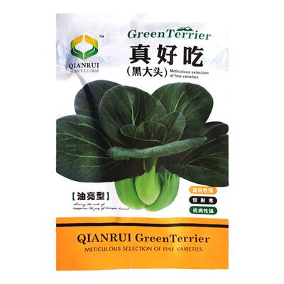 真好吃黑大头油菜上海青菜种子苏扬州鸡毛蔬油菜种籽孑秋冬四季
