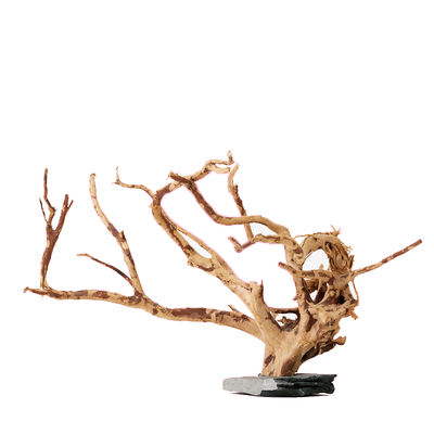 新派宠物爬宠树根造景爬箱