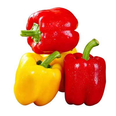 新鲜彩椒农家自种新鲜现摘五彩椒柿子水果椒脆甜椒蔬菜