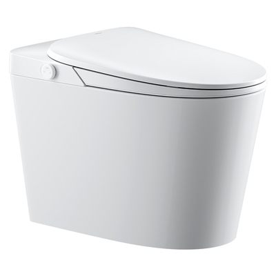 恒洁智能马桶轻音脚感冲水按摩洗