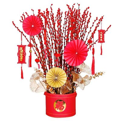 七彩红银柳鲜枝年宵招财水养