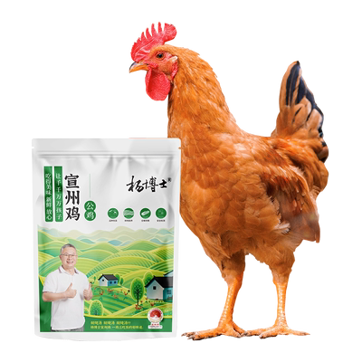 杨博士皖南宣州鸡公鸡