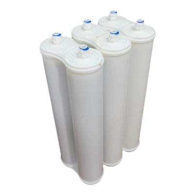 实验室纯水机超纯化柱纯水柱预处理柱RO膜双通道UP滤芯阴阳离子柱
