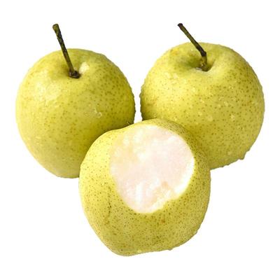 烤梨专用梨当季梨烤梨店梨膏榨汁