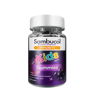 接骨木莓提高免疫增强体质