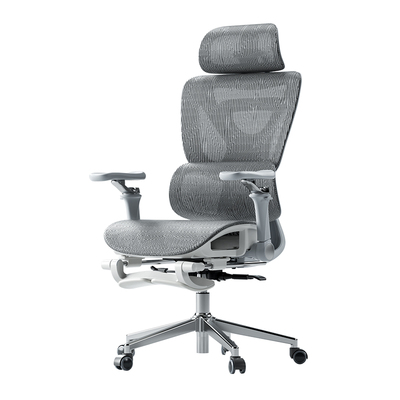 TotGuard人体工学舒适电脑椅护腰