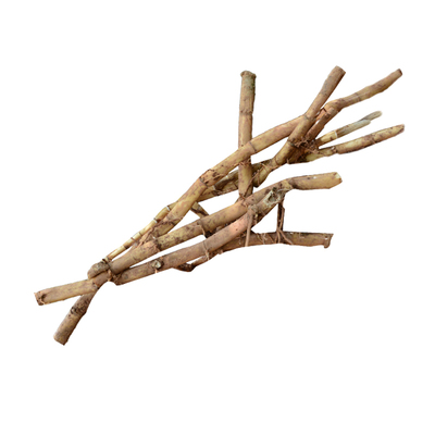 农家自晒芦根干货500g芦苇根泡茶