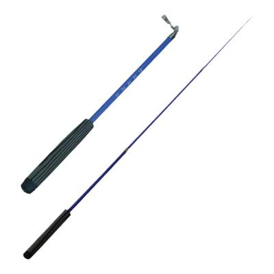 龙龙舞广场伸缩健身彩带