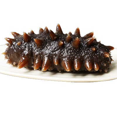 顺丰1只顶6只品质海参数万人回购