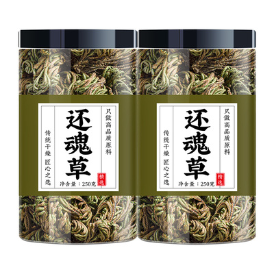 卷柏九死还魂草500g不死草还阳草