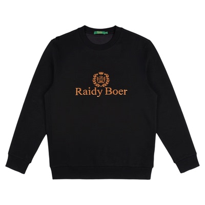 【刺绣图案】Raidy Boer/雷迪波尔2026秋男棉涤时尚经典卫衣6037