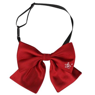 IVYHOUSE常春藤童装JK平角领花