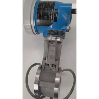 议价Endress  Hauser Prowirl F 200