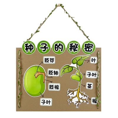 启汐科学种植区认识种子生产过程