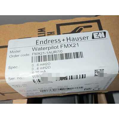 询价EndressHauser恩德斯豪斯FMX21静压