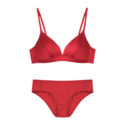 桑罗桑蚕丝内衣套装文胸内裤可选