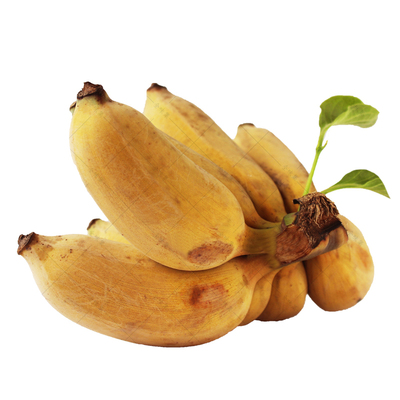 无干预野生奶蕉粉蕉米蕉母婴放心