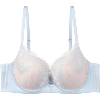安莉芳专柜新品蕾丝桑蚕丝立体厚模杯文胸女小胸聚拢内衣EB00987