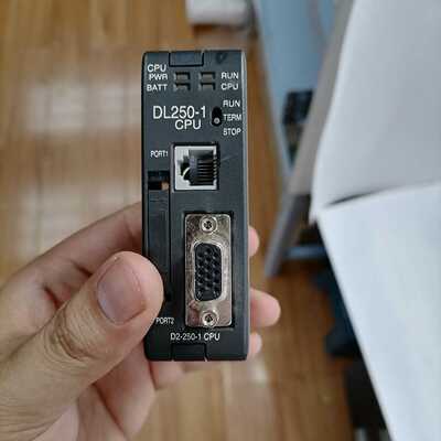 DL2501AUTOMATIONDIRECT模块原
