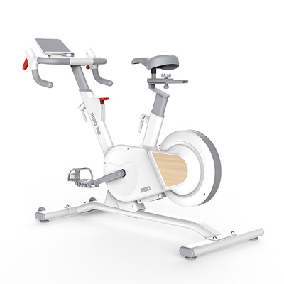 力动R2自发电动感单车减肥健身