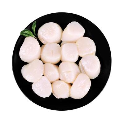 Clearwater扇贝柱1000g冷冻食材