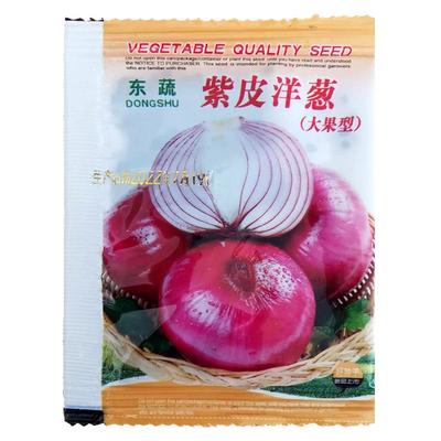 蔬菜种紫皮洋葱种子脆嫩香甜