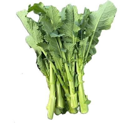 新鲜油菜苔油菜尖菜四川农家露天油菜苗叶子青菜苔现摘现发