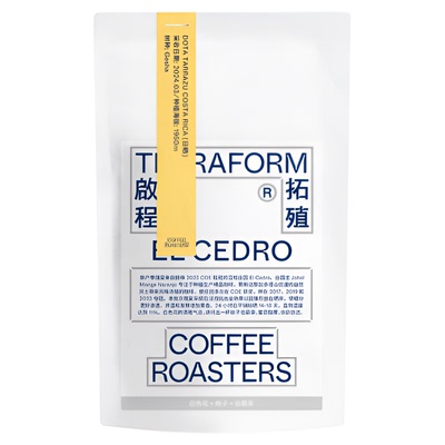 【Terraform】2024新产季 哥斯达黎加COE冠军雪松庄园瑰夏咖啡豆