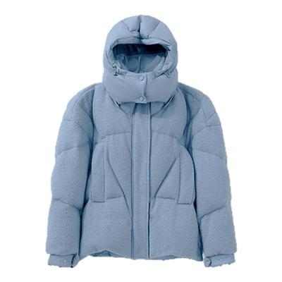 【商场同款】HPLY荷比俪冬季新款摇粒绒肌理白鹅绒连帽羽绒服