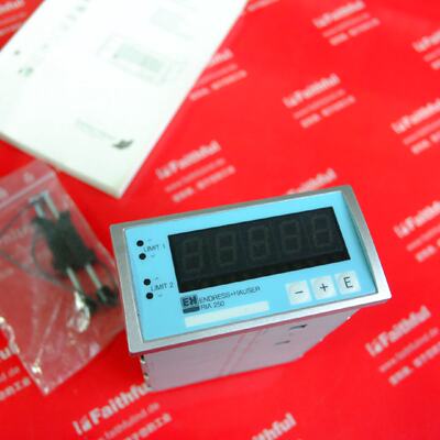 议价EH RIA250-A11R31 恩德斯豪斯全新现场显示仪 RIA 250