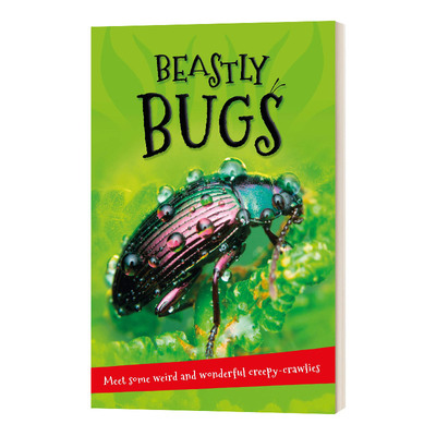 关于虫子 英文原版 It's all about... Beastly Bugs 关于动物系列 儿童百科科普读物 英文版 进口英语原版书籍