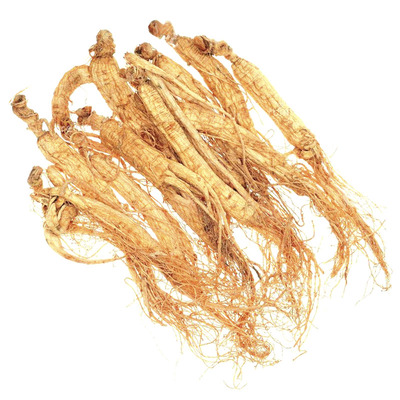 新鲜人参长白山东北恒蜂源