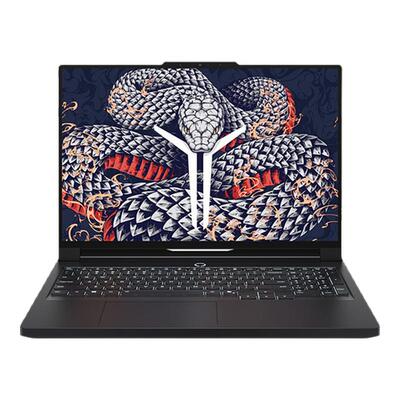 拯救者Y9000P2025AI元启游戏本