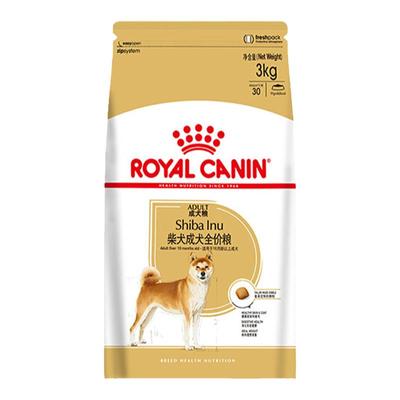降脂肪维持理想体态柴犬皇家