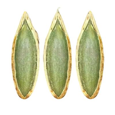 精品2025椒盐美人甲南瓜子原味炒熟长粒美人甲五香味袋装休闲零食