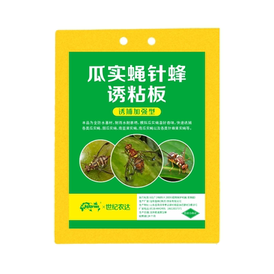 针蜂贴瓜实蝇粘虫板诱捕器黄板双面菜地果蝇丝瓜苦瓜菜园强力特效
