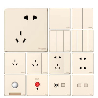 施耐德开关插座五孔USB珍珠金
