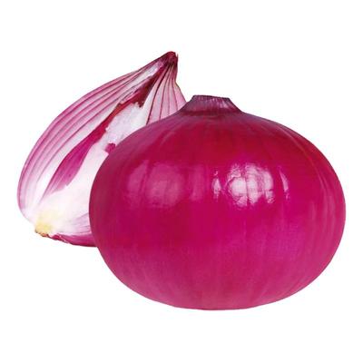 水果洋葱种子紫皮圆葱扁圆
