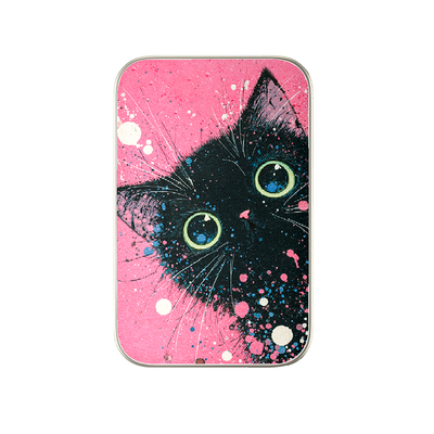 ValueX超薄可定制苹果16p磁吸充电宝2次元动物猫咪3C认证iphone17