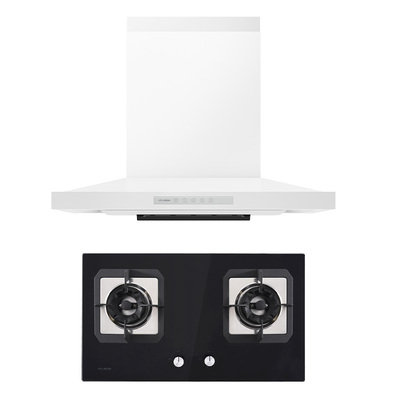 富士帝进口油烟机变频电机