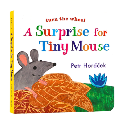 英文原版 A Surprise for Tiny Mouse 给小老鼠的惊喜 互动概念绘本纸板书 Petr Horacek 英文版 进口英语原版书籍儿童图书