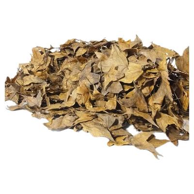 干枫树叶标本手工材料拍摄