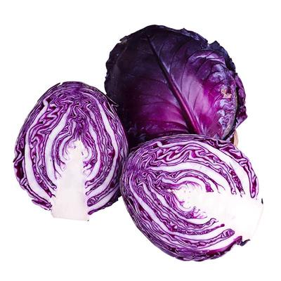言片光紫甘蓝农家自种