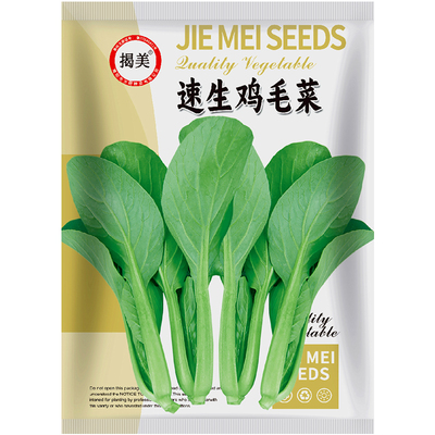 速生鸡毛菜种子高脚上海白菜耐热